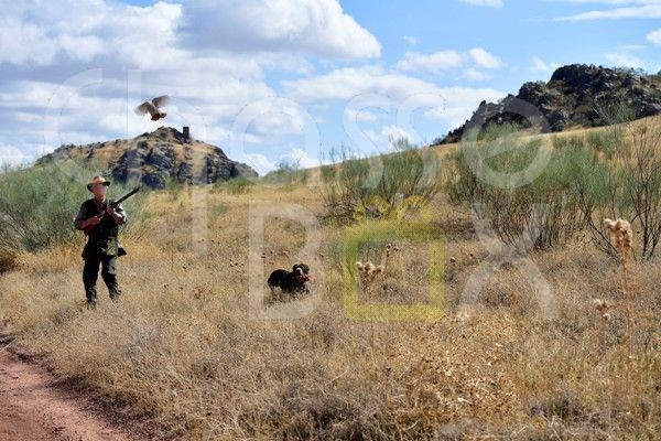 CADEAU DE CHASSE, JOURNEE DE CHASSE, SEJOUR CHASSE