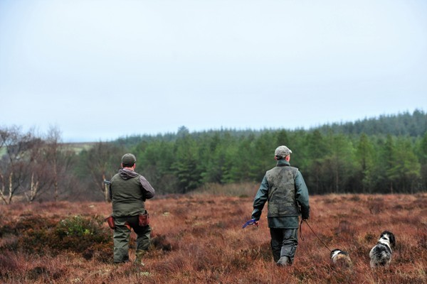 CADEAU DE CHASSE, JOURNEE DE CHASSE, SEJOUR CHASSE