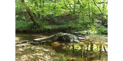 CADEAU DE CHASSE, JOURNEE DE CHASSE, SEJOUR CHASSE