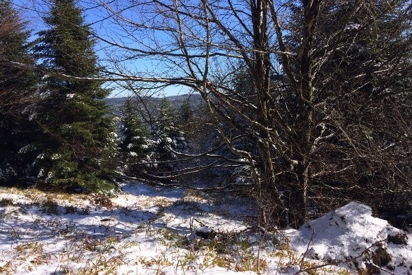 CADEAU DE CHASSE, JOURNEE DE CHASSE, SEJOUR CHASSE