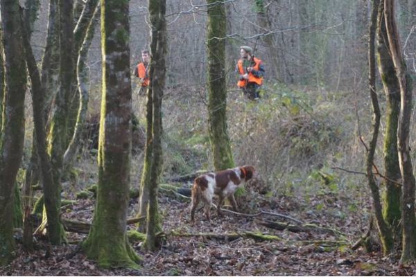 CADEAU DE CHASSE, JOURNEE DE CHASSE, SEJOUR CHASSE