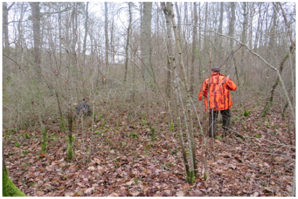 CADEAU DE CHASSE, JOURNEE DE CHASSE, SEJOUR CHASSE