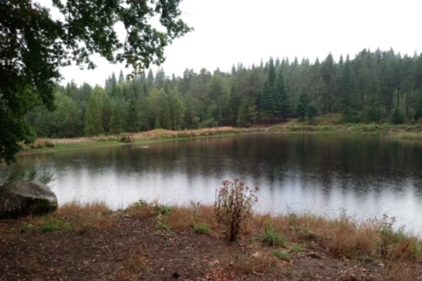 CADEAU DE CHASSE, JOURNEE DE CHASSE, SEJOUR CHASSE