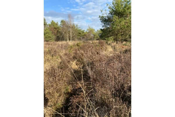 CADEAU DE CHASSE, JOURNEE DE CHASSE, SEJOUR CHASSE