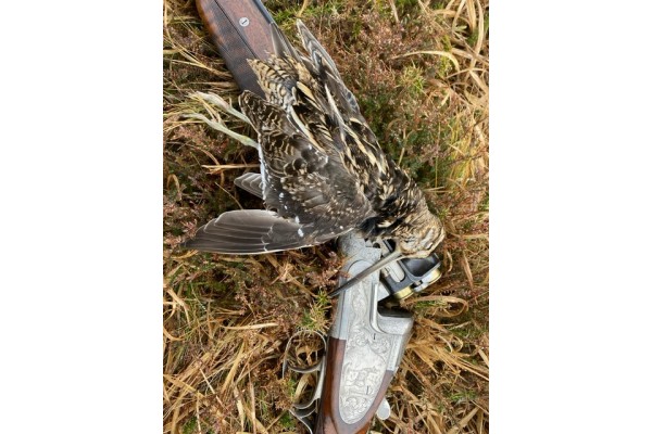 CADEAU DE CHASSE, JOURNEE DE CHASSE, SEJOUR CHASSE