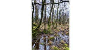 CADEAU DE CHASSE, JOURNEE DE CHASSE, SEJOUR CHASSE