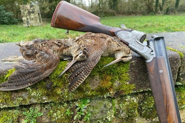 CADEAU DE CHASSE, JOURNEE DE CHASSE, SEJOUR CHASSE