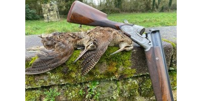 CADEAU DE CHASSE, JOURNEE DE CHASSE, SEJOUR CHASSE