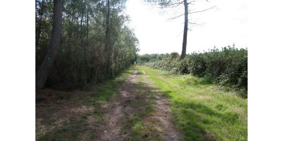 CADEAU DE CHASSE, JOURNEE DE CHASSE, SEJOUR CHASSE